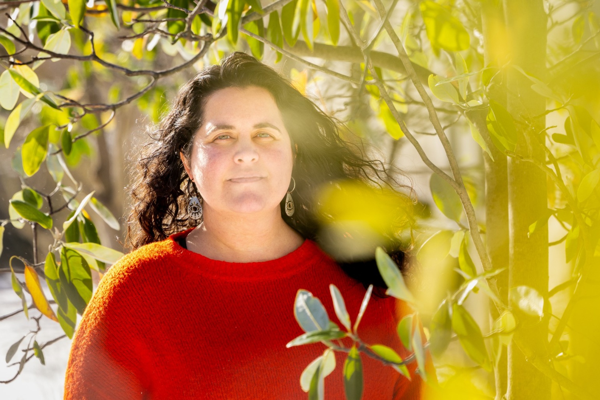 “It’s the roots that need water” - University at Buffalo