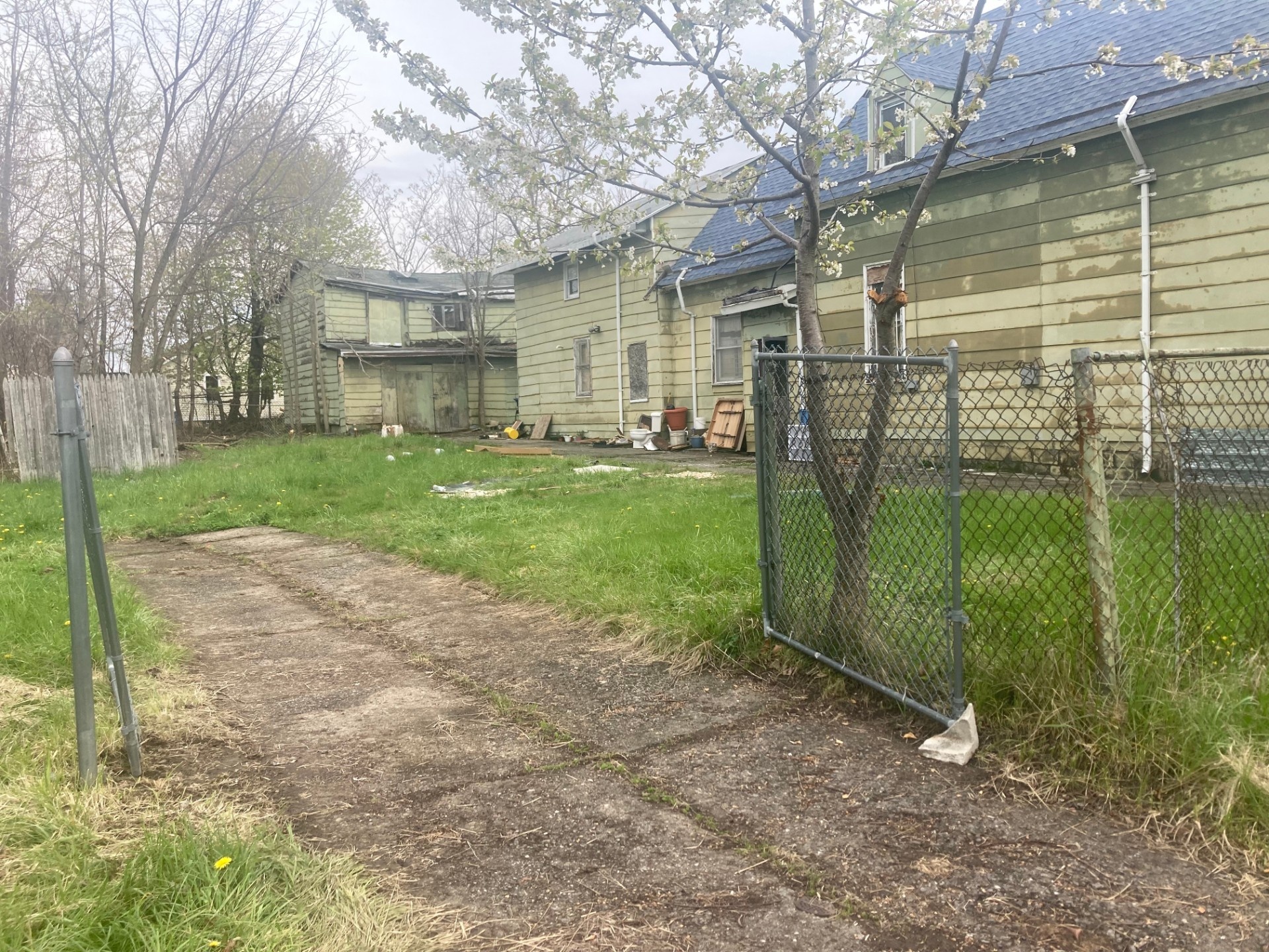 “It’s the roots that need water” - University at Buffalo